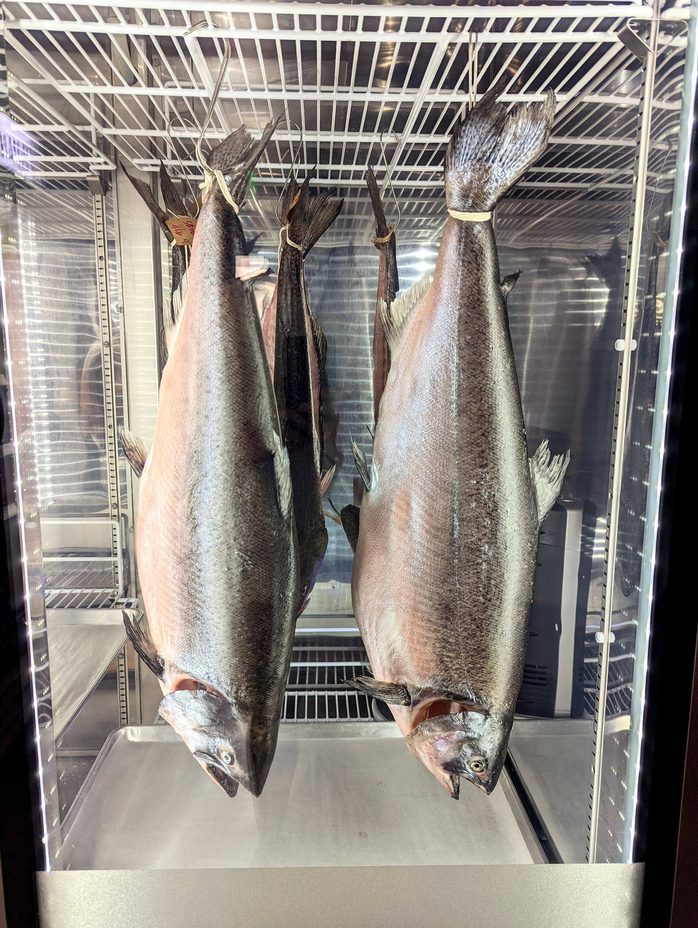 Dry-aged Premium Sushi | Oroshi Fish Co.